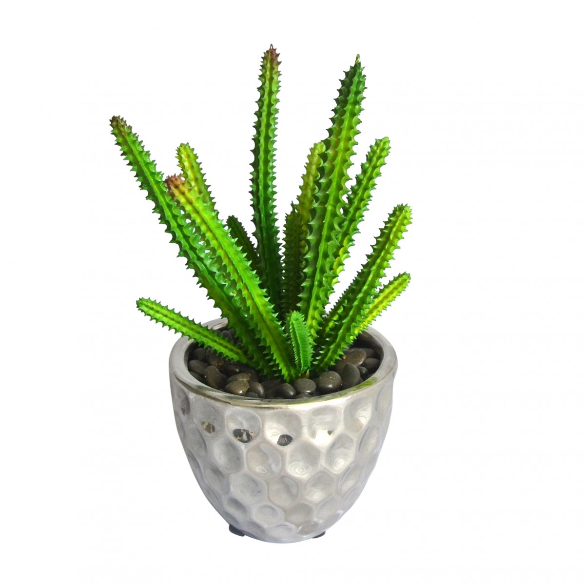 4.72 Inch H Green PE Succulent Plant